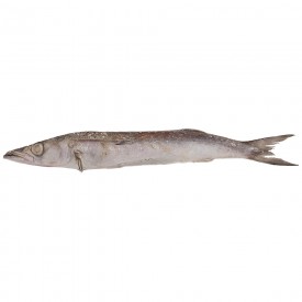 Frozen Whole Fish - Frozen Products - Aheco Webshop